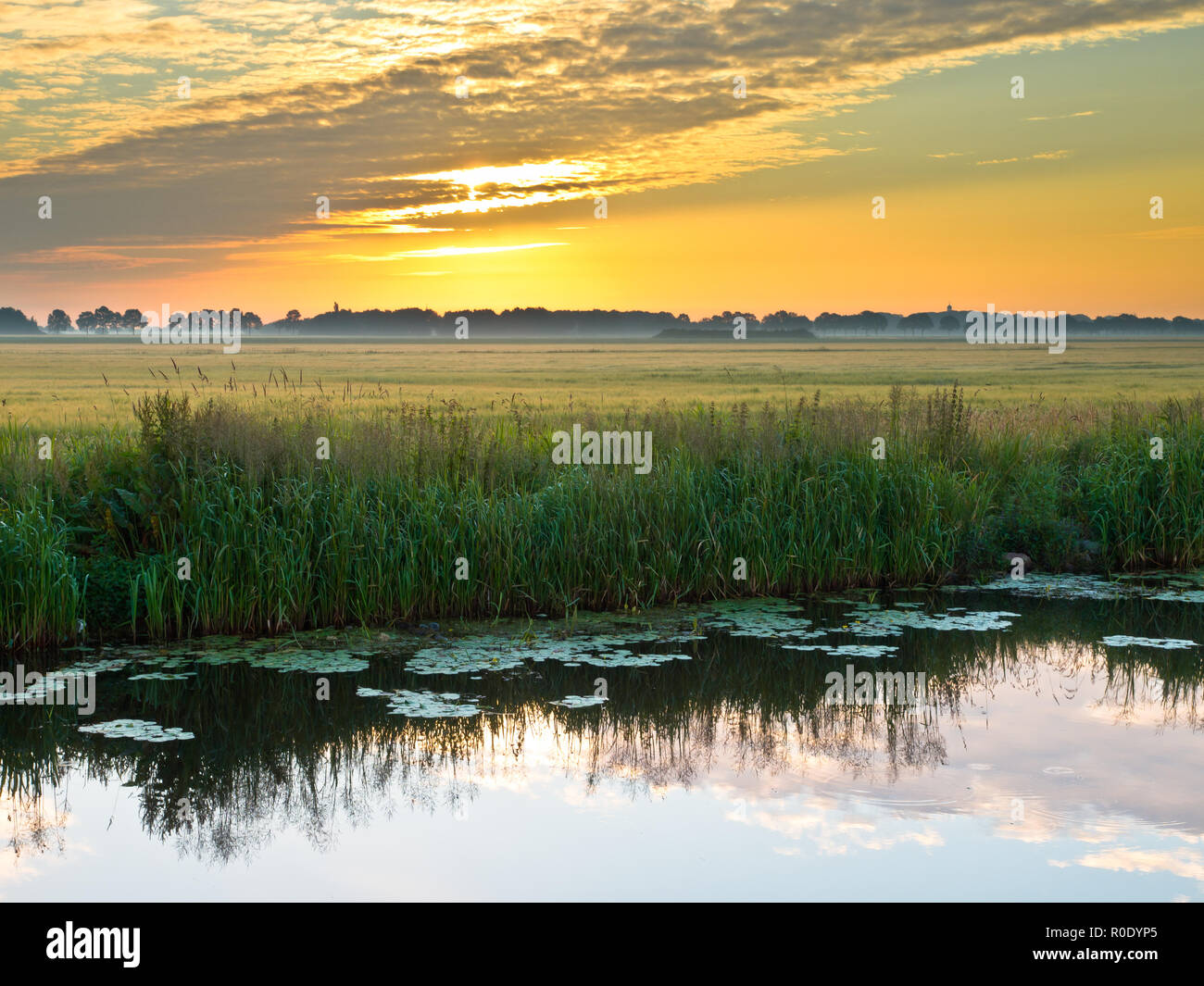Canal in the Morning in Rural Area in the Netherlands Stock Photo - Alamy