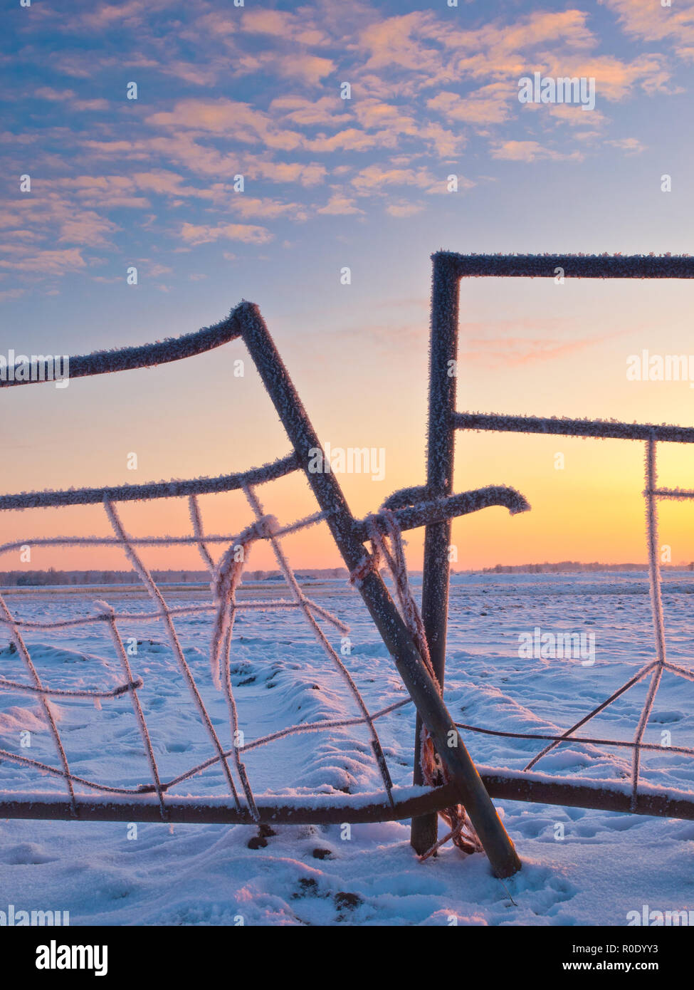 Snow landscape winter field gate tree hi-res stock photography and ...