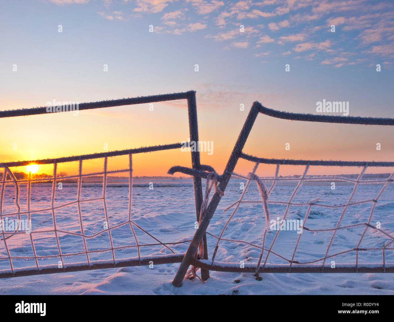 Snow on a gate in winter landscape during sunrise Stock Photo - Alamy