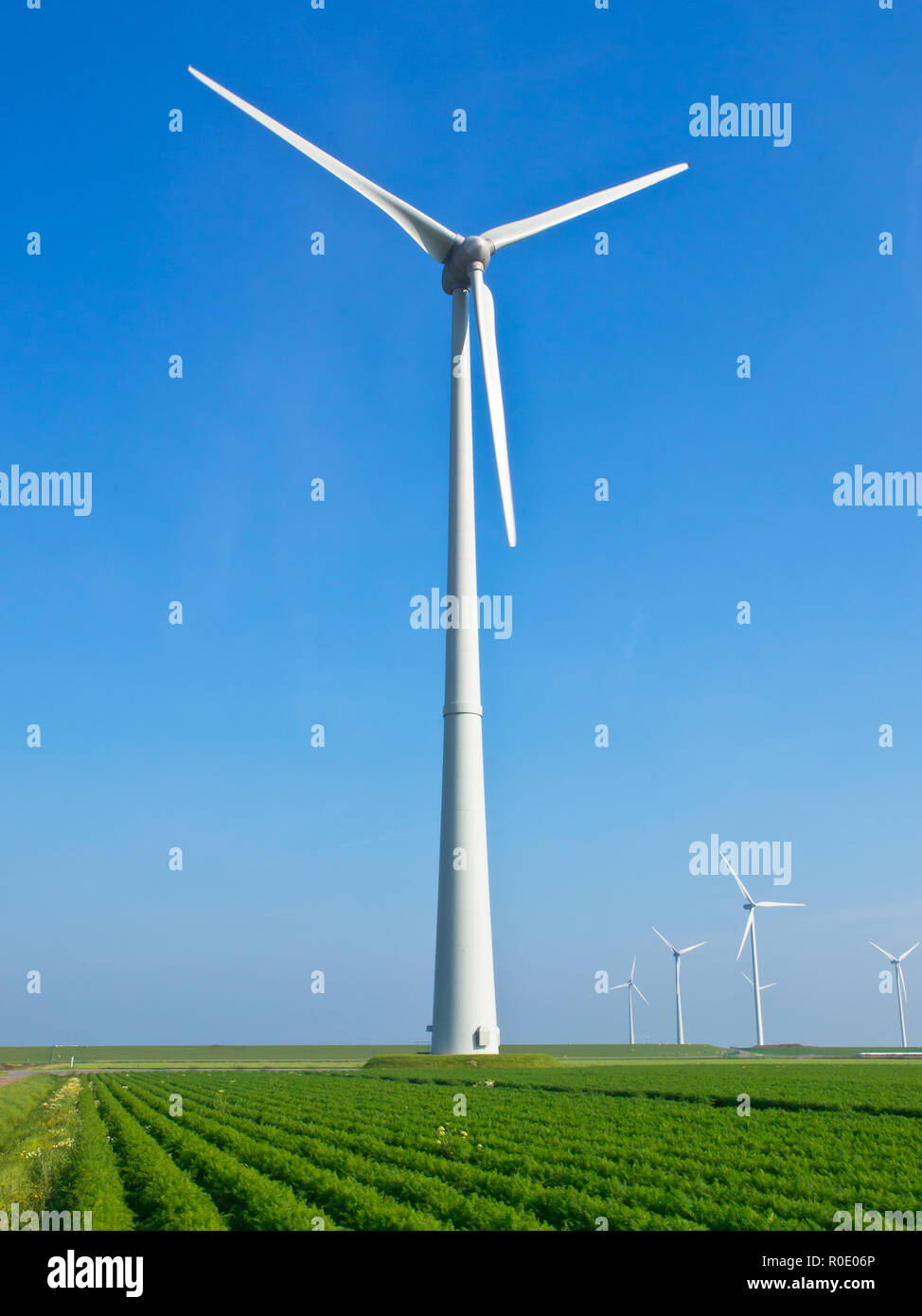 Giant wind turbine in dutch agricultural landscape Stock Photo - Alamy