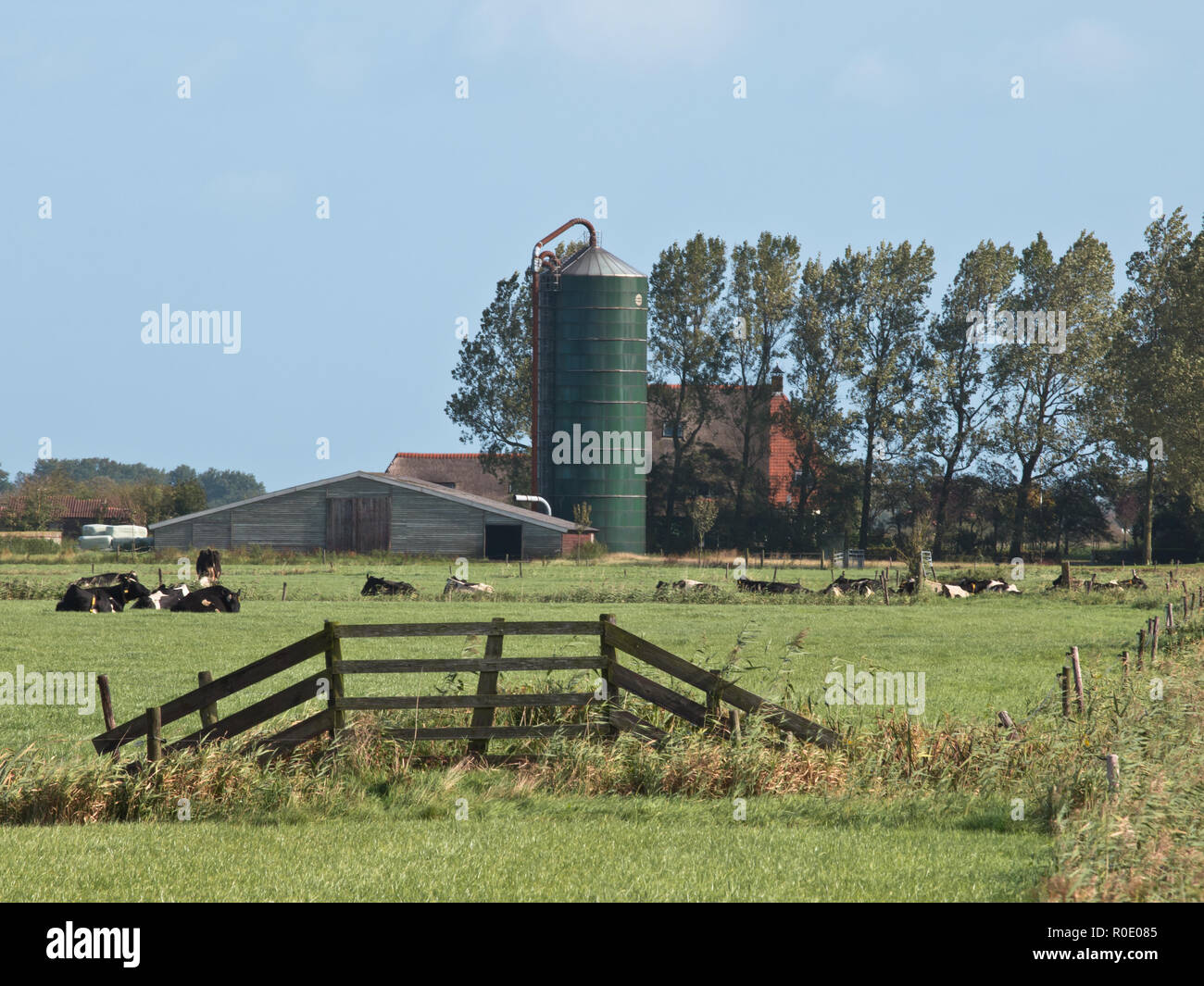 Farm silo cows hi-res stock photography and images - Alamy