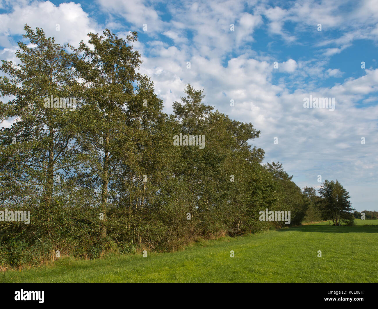 Typical dutch landscape row hi-res stock photography and images - Alamy