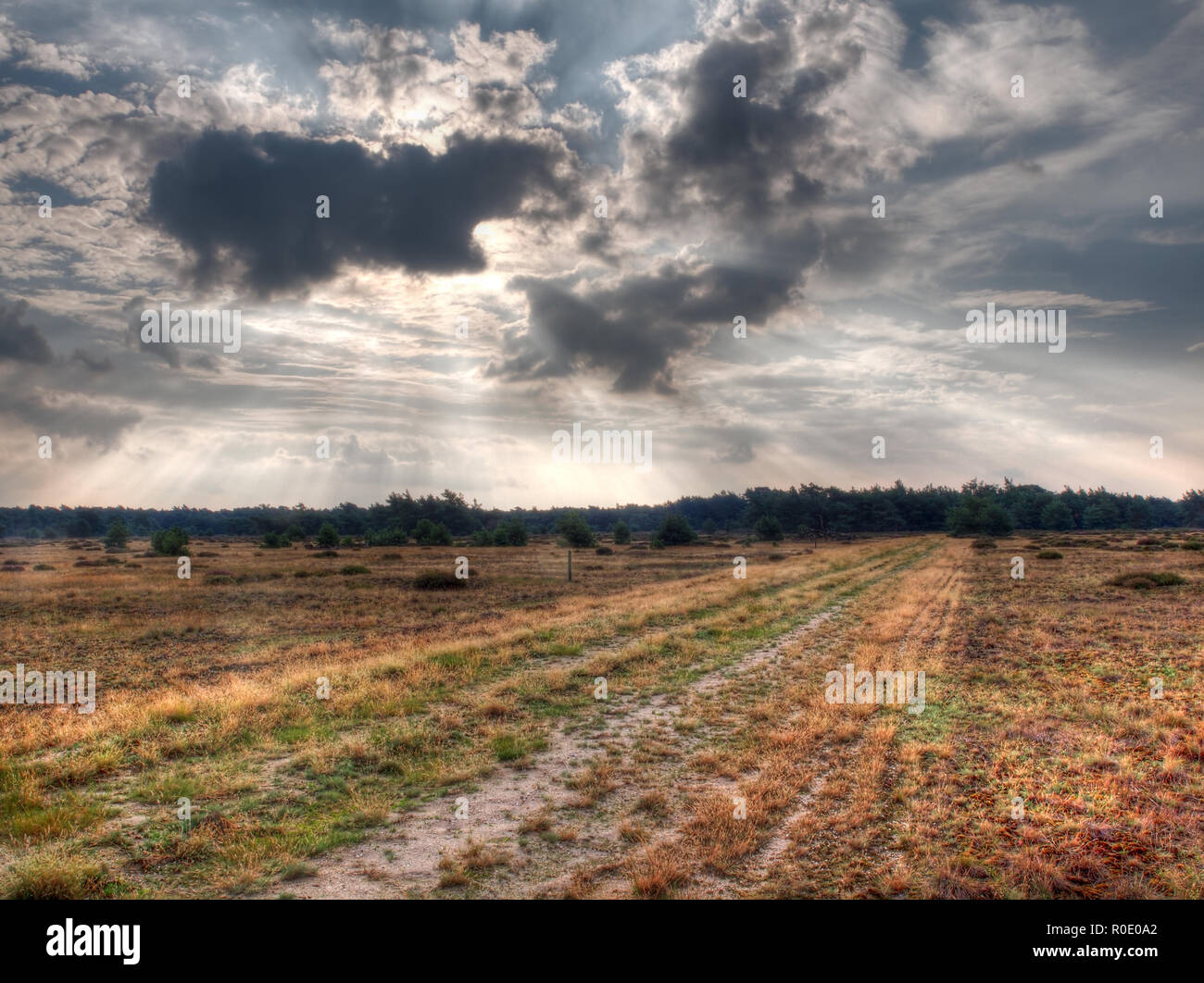 A straight trail is dissapearing at the horizon on a dutch nature ...