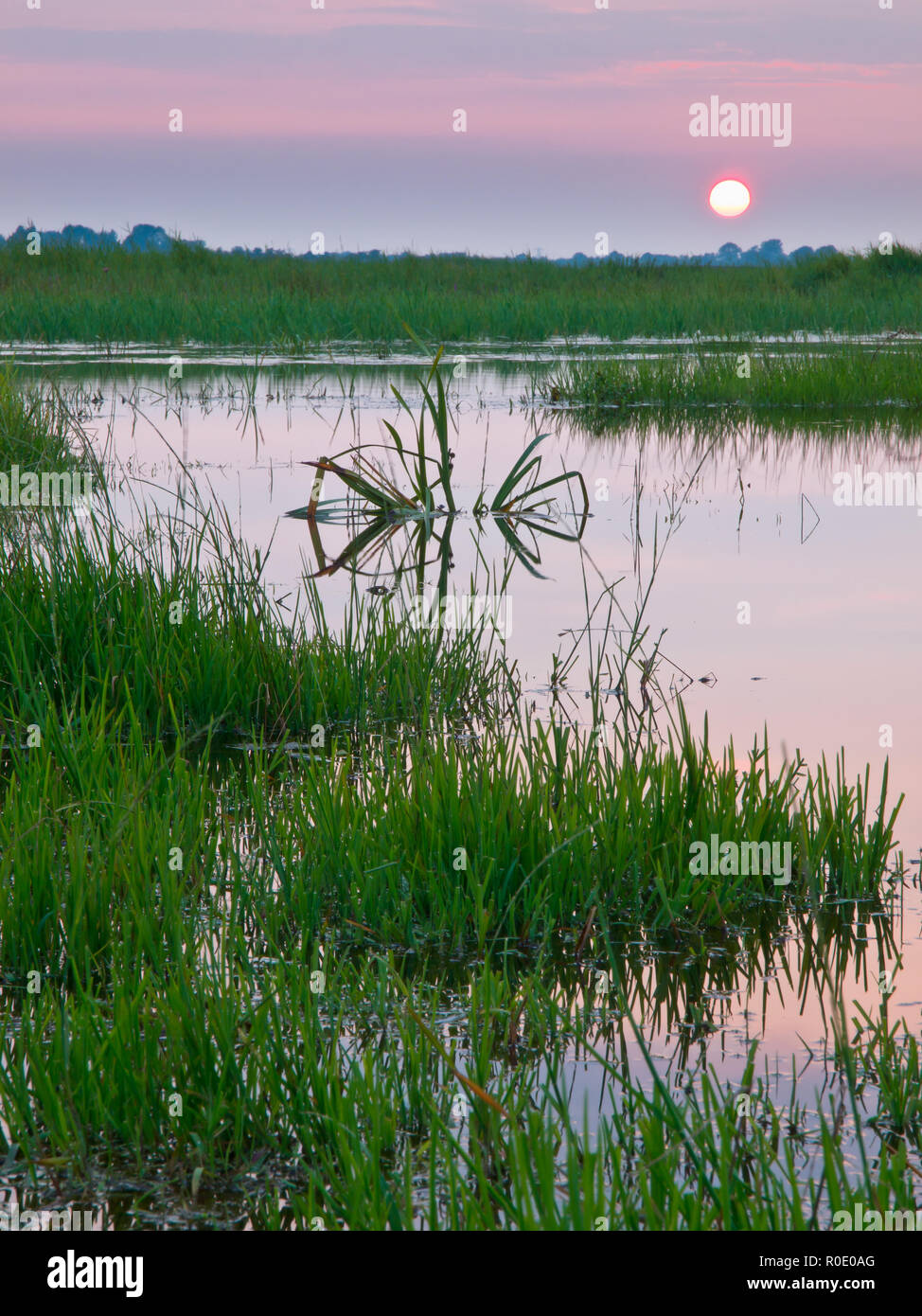 colorful sunset over fresh water marshland nature reserve Stock Photo ...