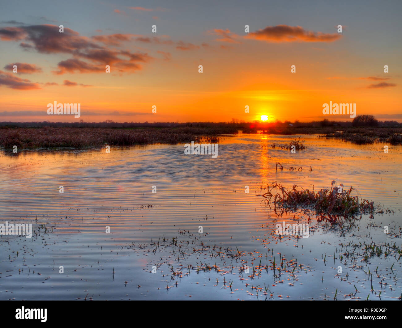 Sunset over dutch wetland in the province of groningen Stock Photo - Alamy