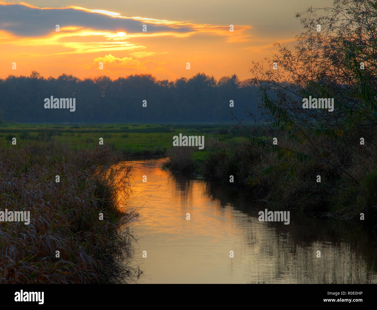 Sunset over small rural river in nature reserve Stock Photo - Alamy
