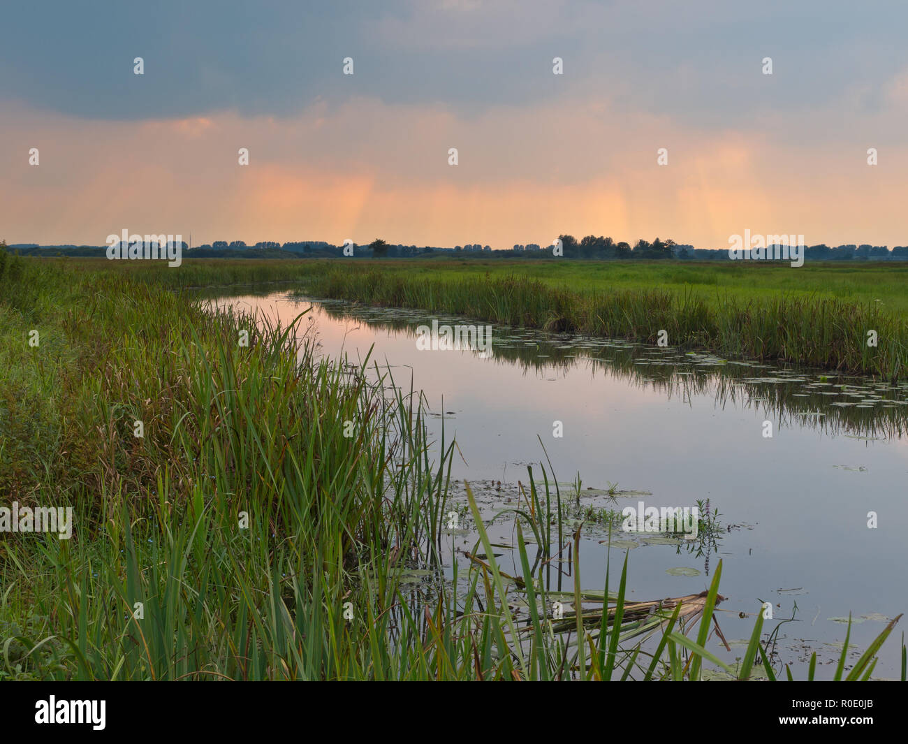 Lowland river under beautiful lighting Stock Photo - Alamy