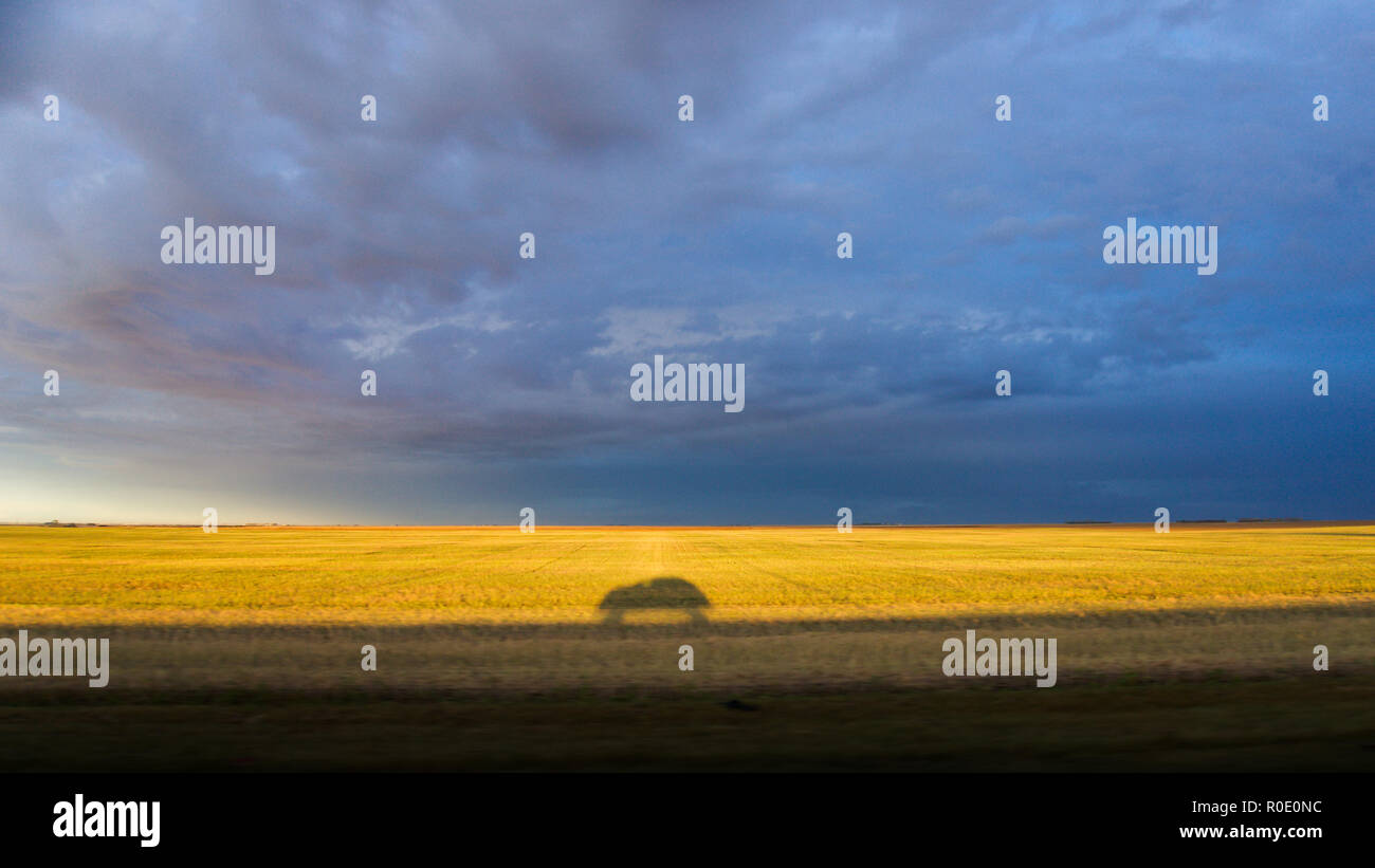 Car shadow prairie hi-res stock photography and images - Alamy