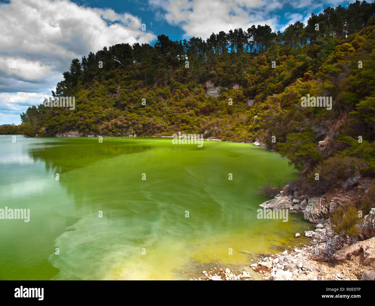 Bright green geothermal lake in rotorua new zealand Stock Photo - Alamy