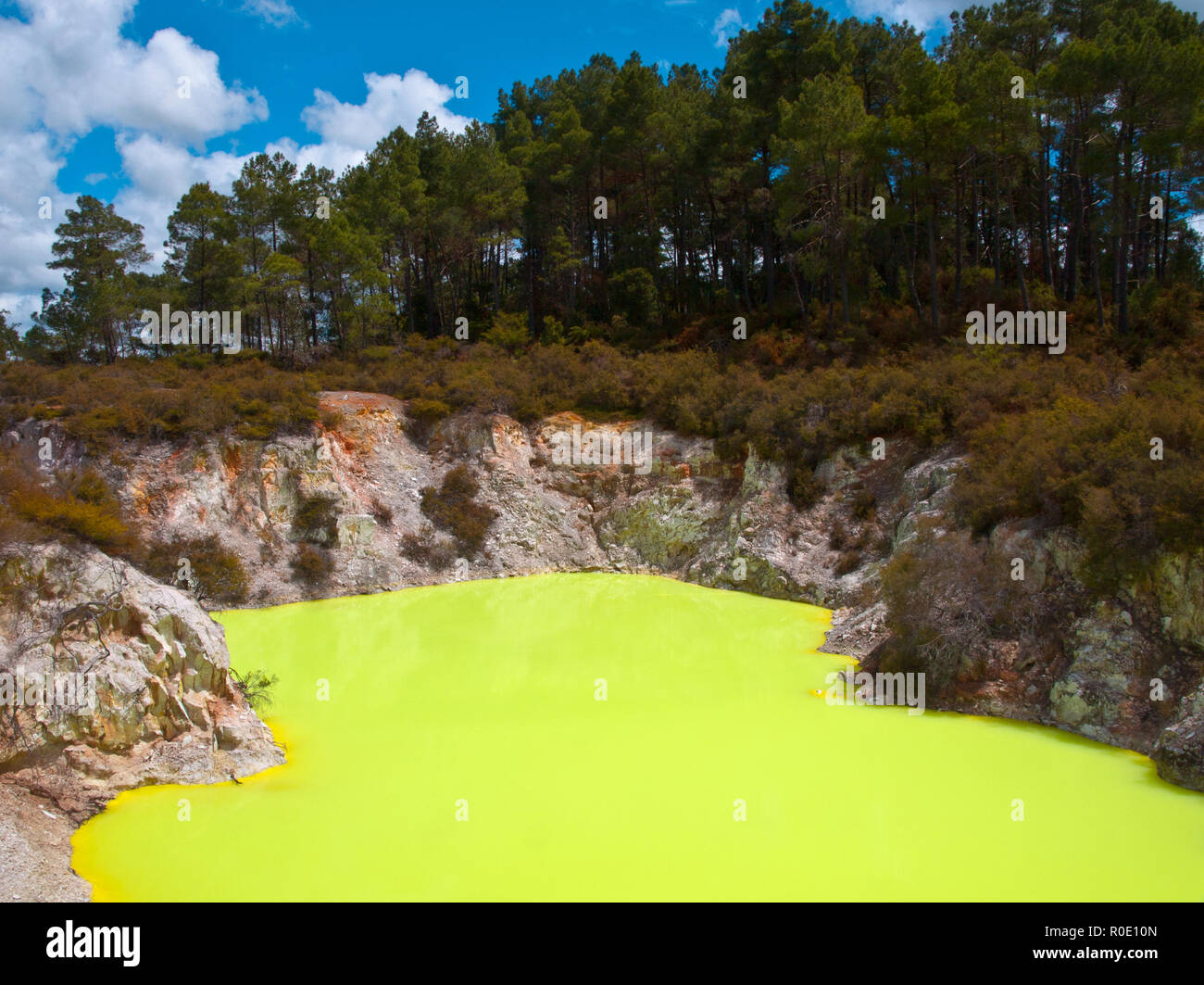 Yellow sulfur pool in a gethermal area in new zealand Stock Photo - Alamy