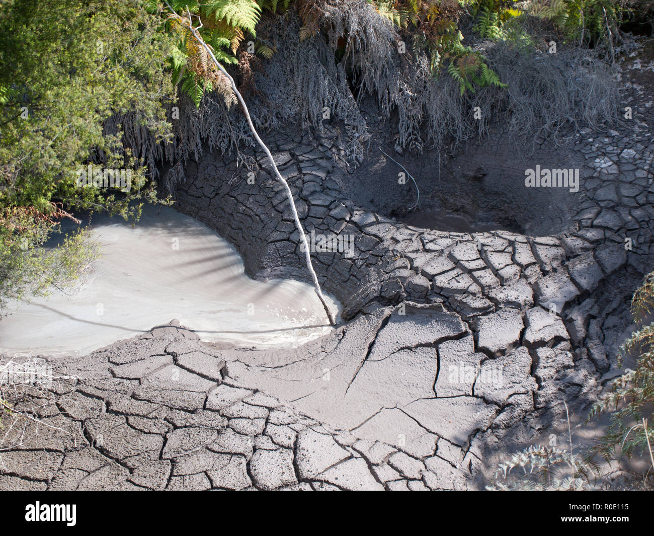 Boiling mud pool new zealand hi-res stock photography and images - Alamy