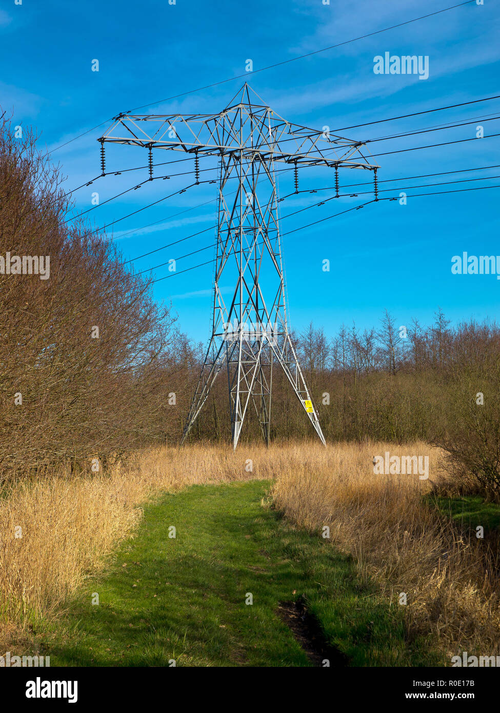 Electric power post in a natural conservation area Stock Photo - Alamy