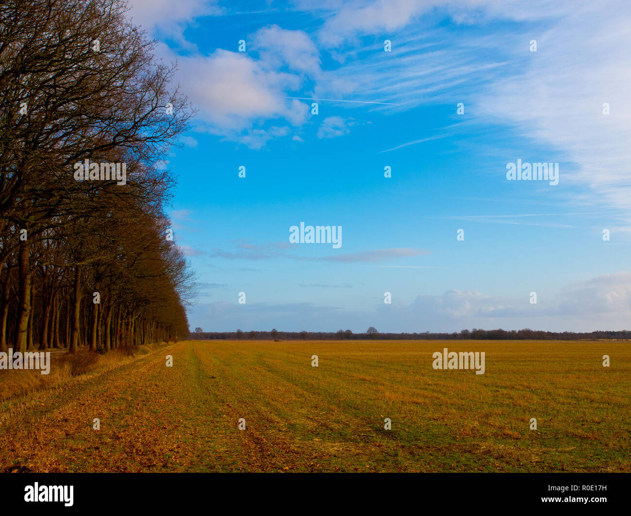 Abstract rural landscape in spring with cloudy blue sky Stock Photo - Alamy