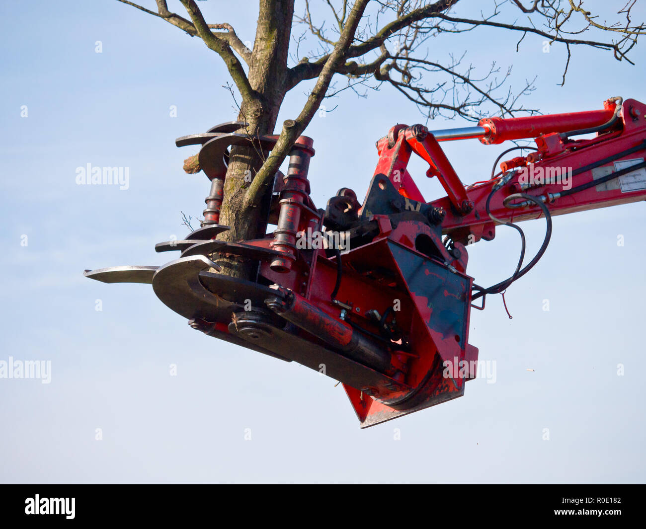 Tree cutting crane is lifting a part of a cut tree Stock Photo - Alamy