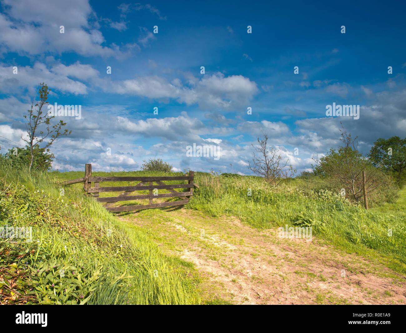 Entrance gate to a nature reserve on a ditch dike Stock Photo - Alamy