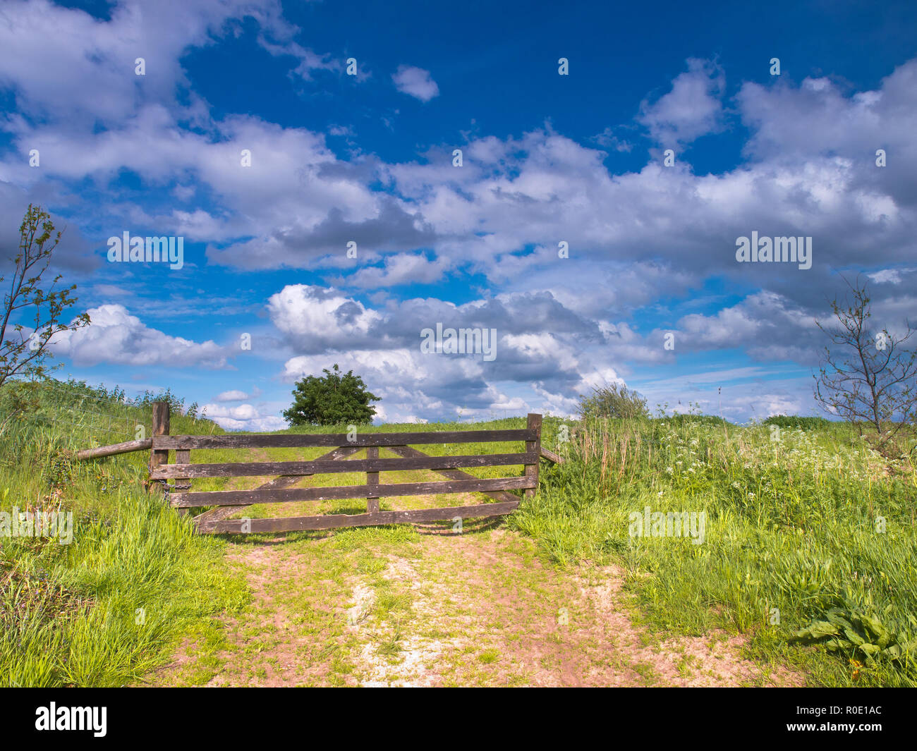 Entrance gate to a nature reserve on a ditch dike Stock Photo - Alamy