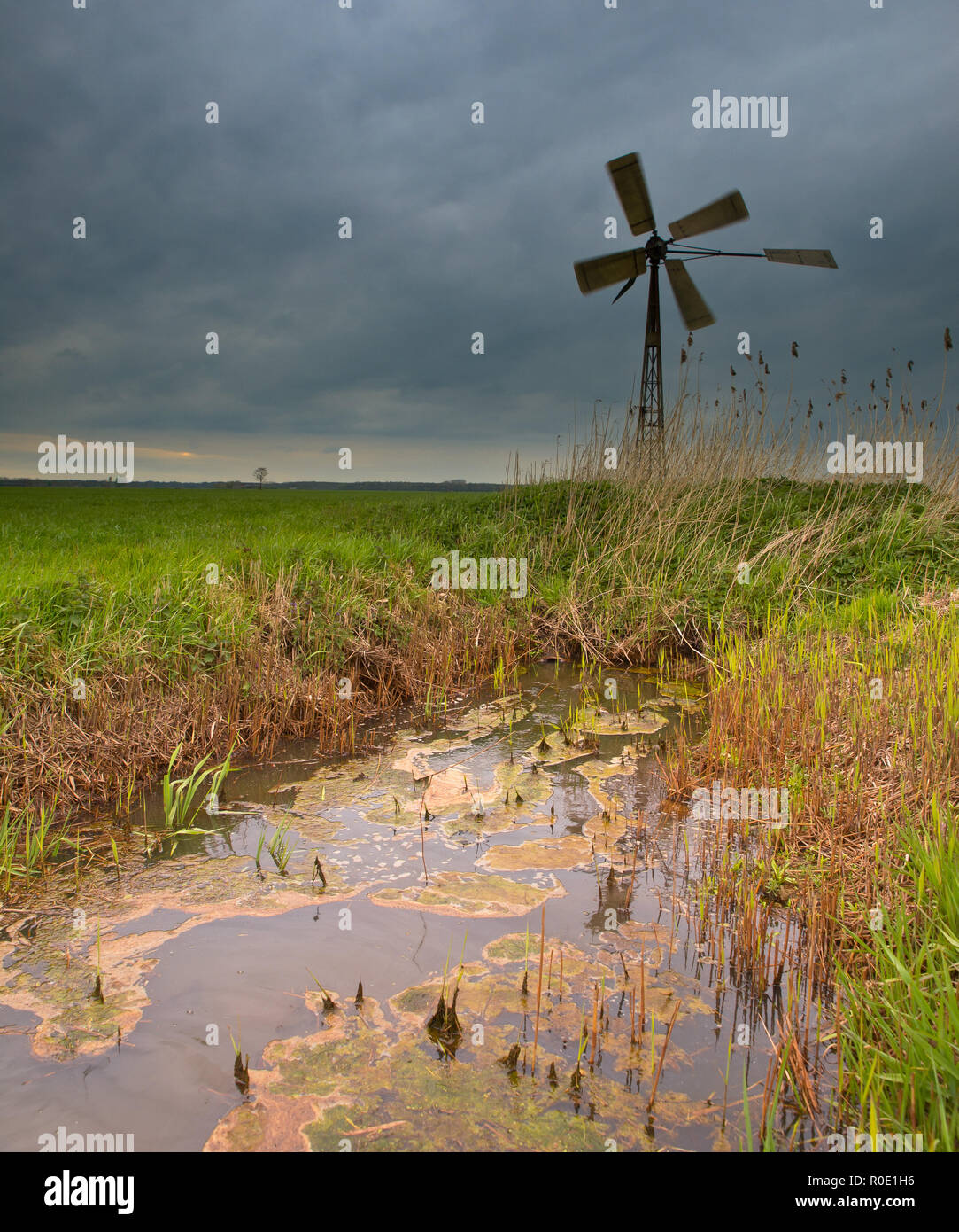 Harde wind hi-res stock photography and images - Alamy