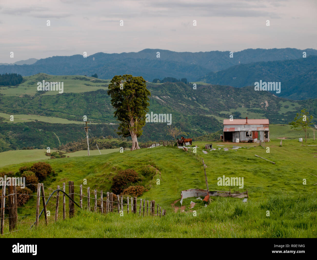 Lonely house in New zealand countryside Stock Photo - Alamy