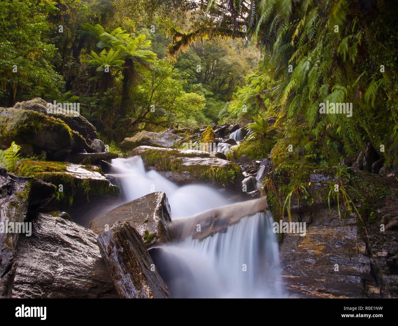 Natural waterfall in middle lush hi-res stock photography and images ...