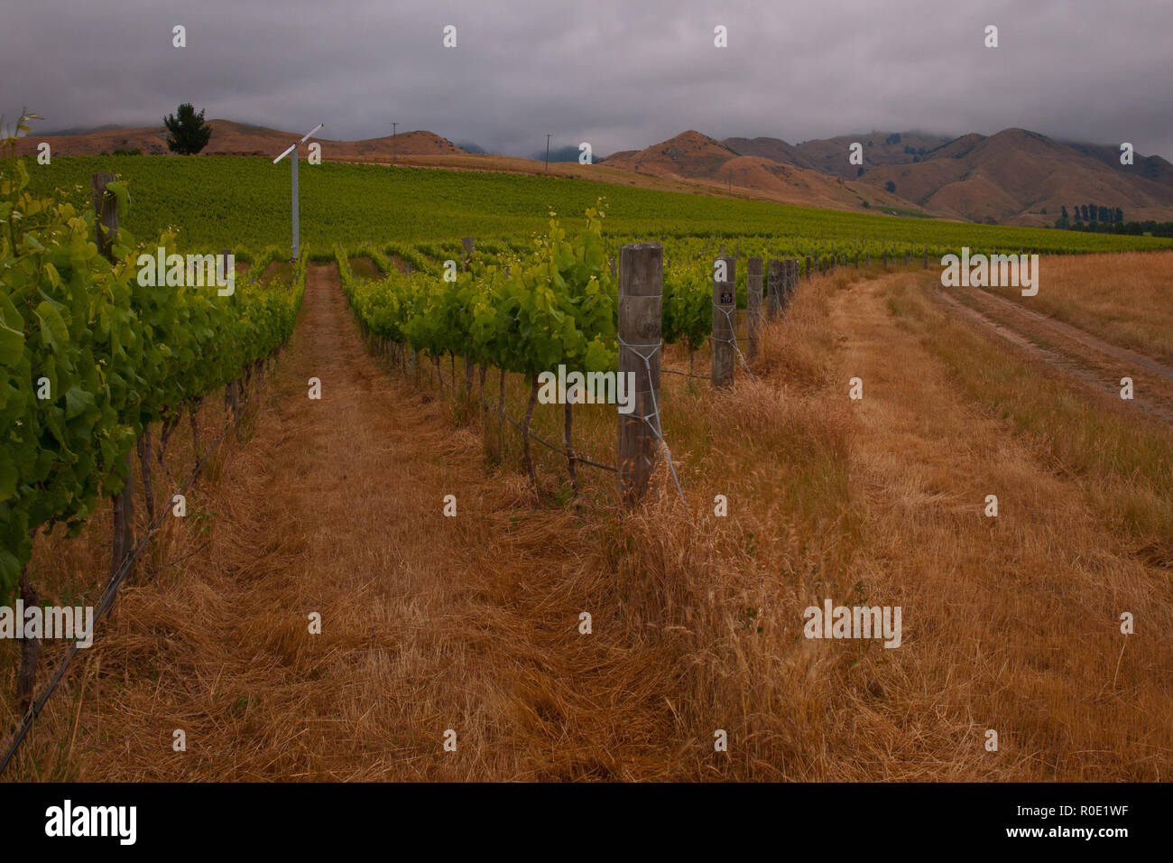 Vineyard wind hi-res stock photography and images - Alamy