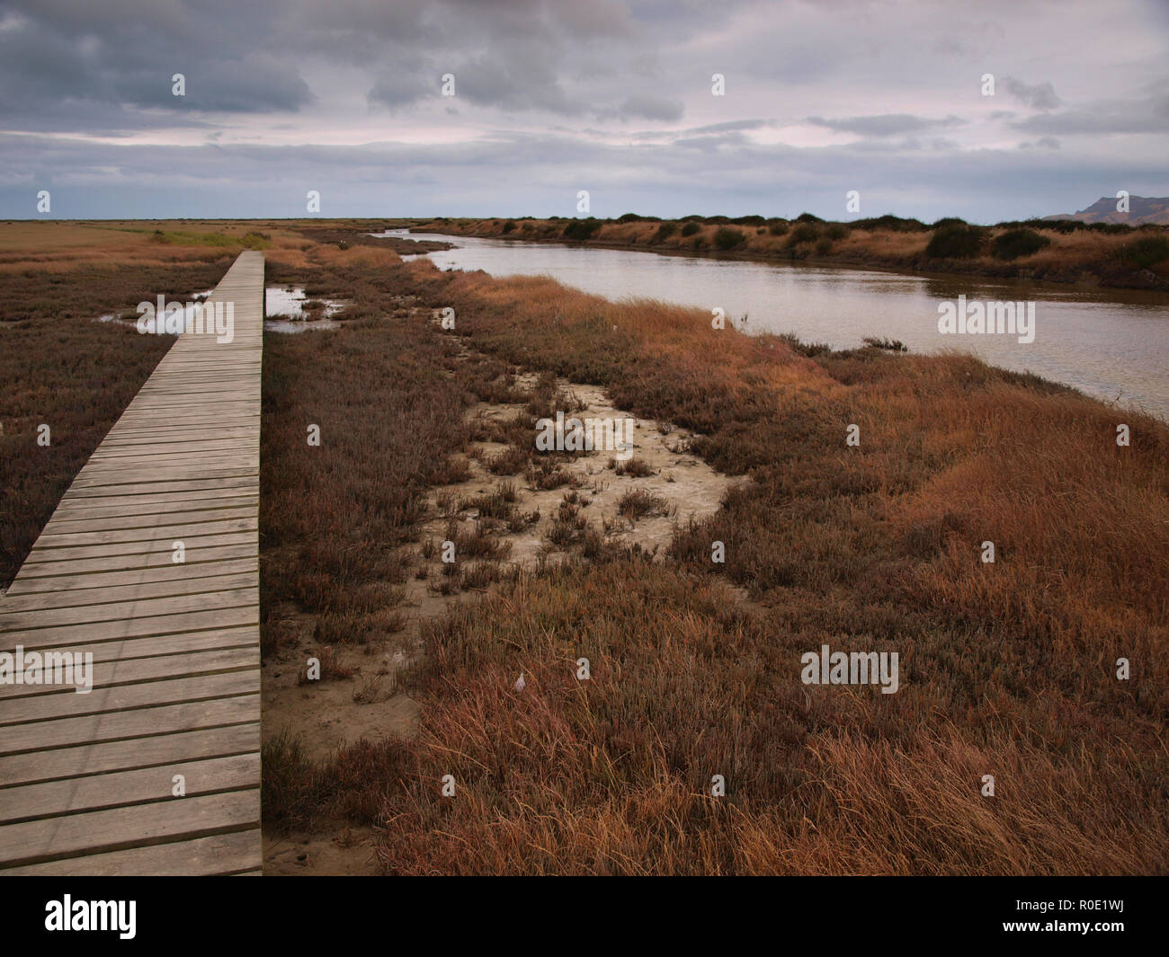 Tidal Lagoons 1. Different Forms To Extract Energy From Ocean