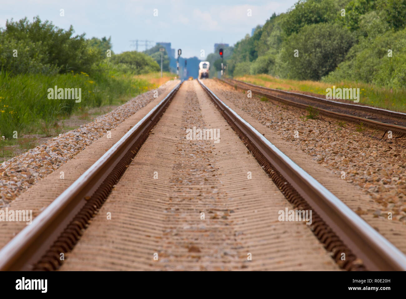 railroad in rural landscape with train in the distance Stock Photo - Alamy