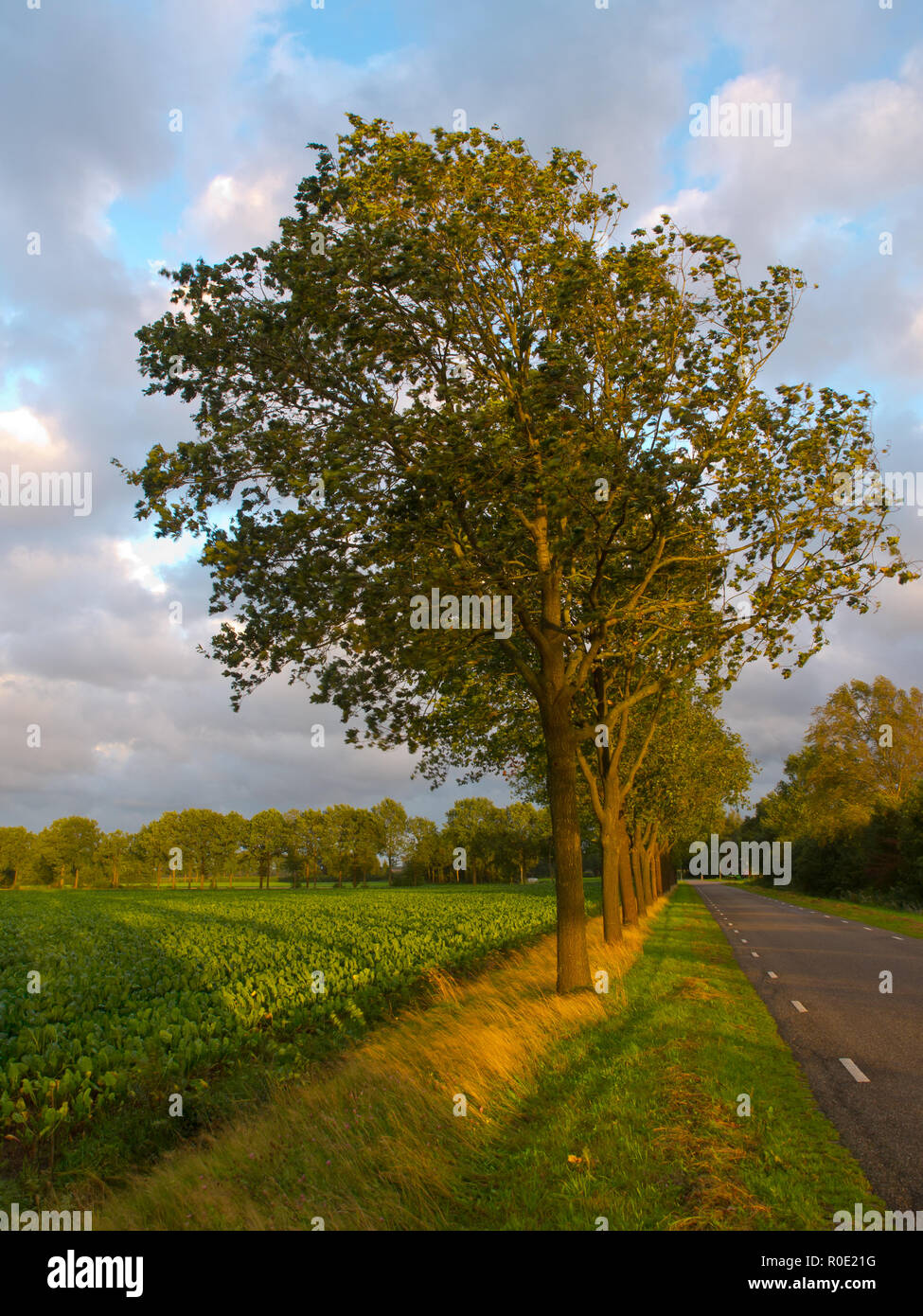Wind row clouds hi-res stock photography and images - Alamy