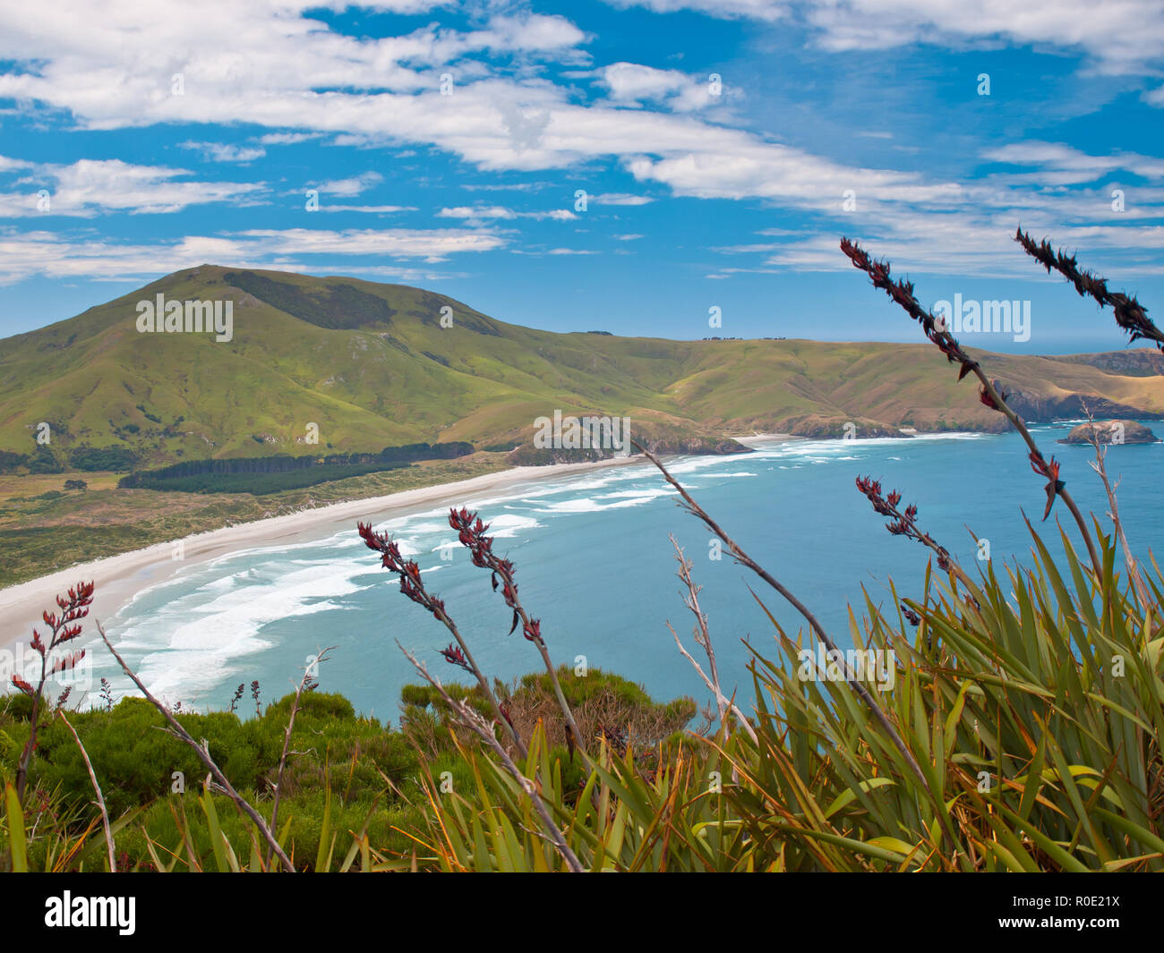 Pacific ocean coast of otago peninsula hi-res stock photography and ...