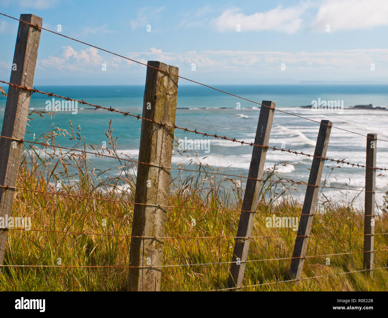 An oceanview behind a batten sheep fence on a cape Stock Photo - Alamy