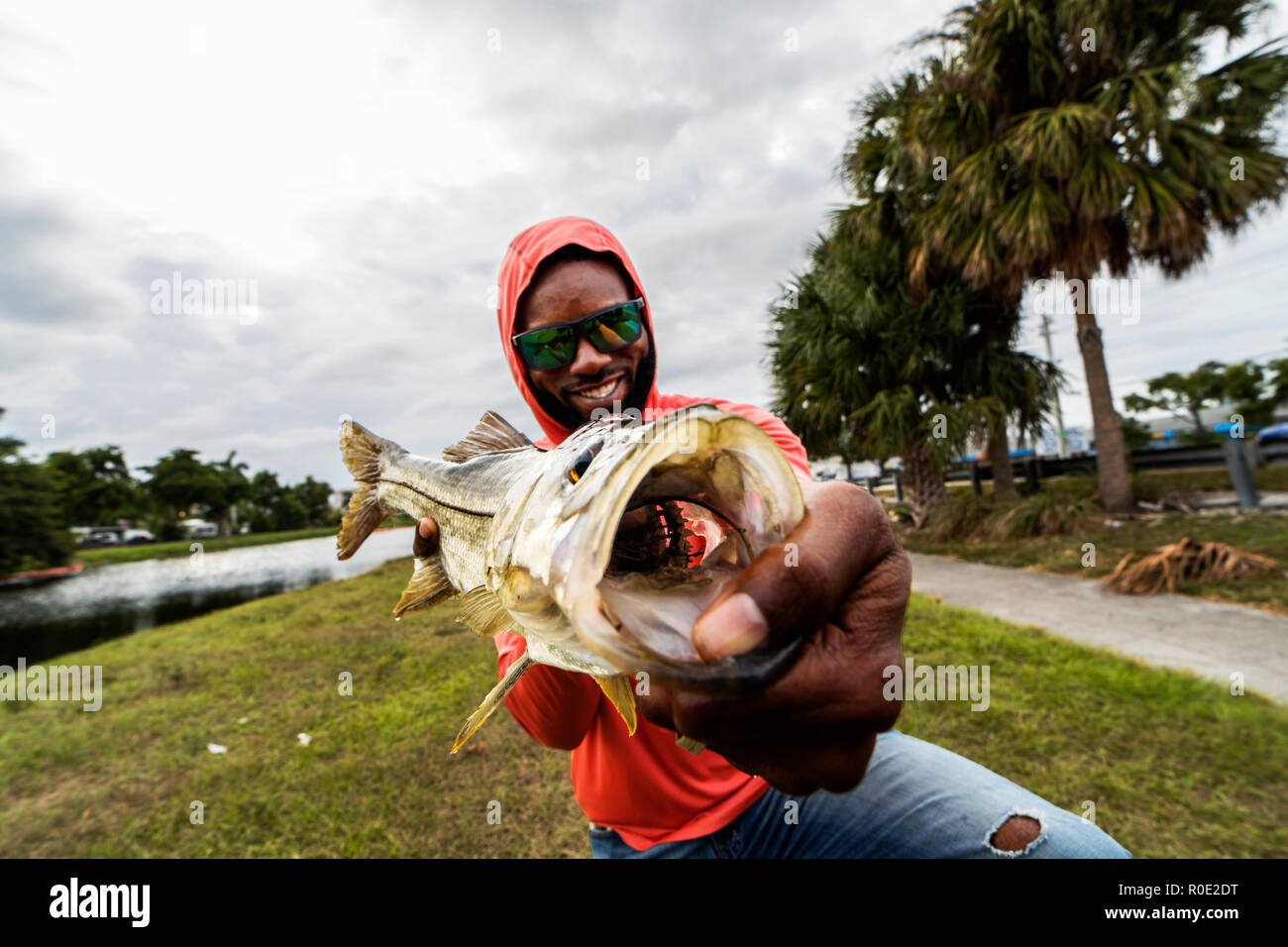 Snook florida hi-res stock photography and images - Alamy