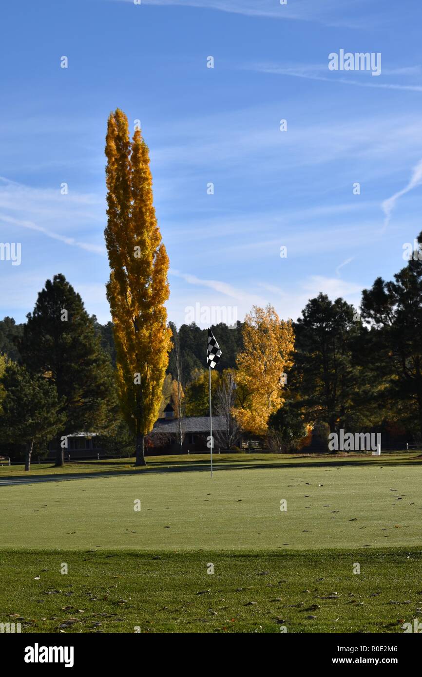 Leaves changing color in Flagstaff Arizona Stock Photo - Alamy