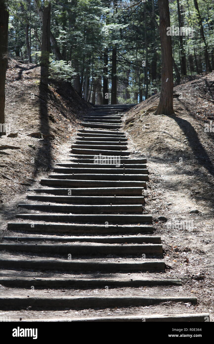 Nature walk Stairway Stock Photo - Alamy