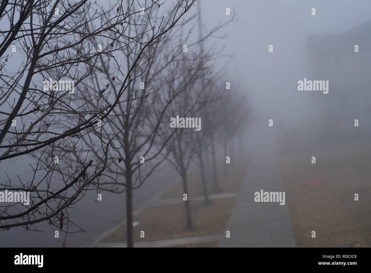 Fog low visibility hi-res stock photography and images - Alamy