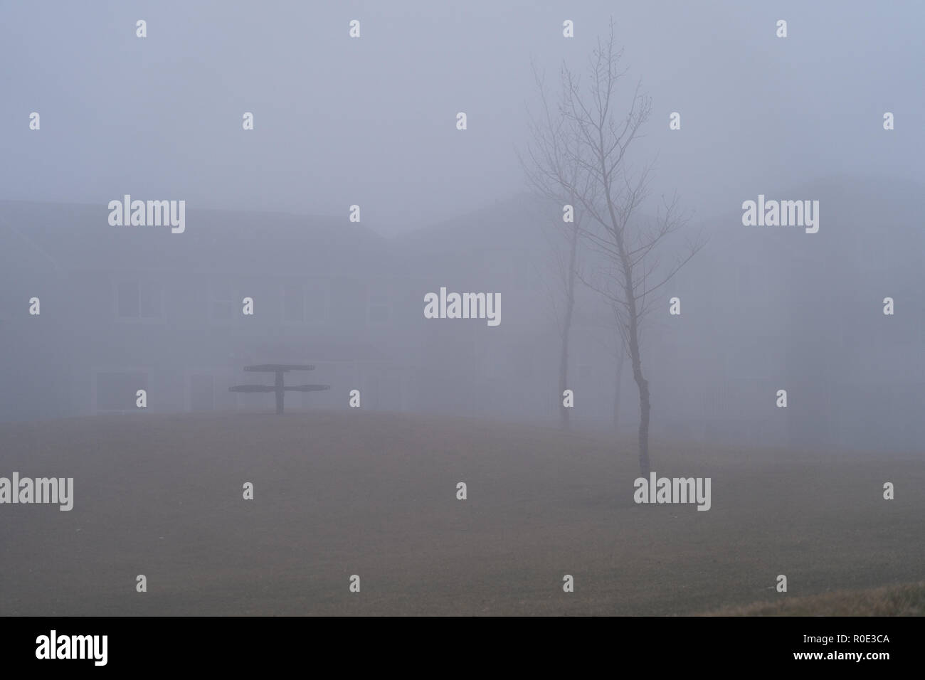 Outdoor Park in Residential area with heavy fog Stock Photo - Alamy