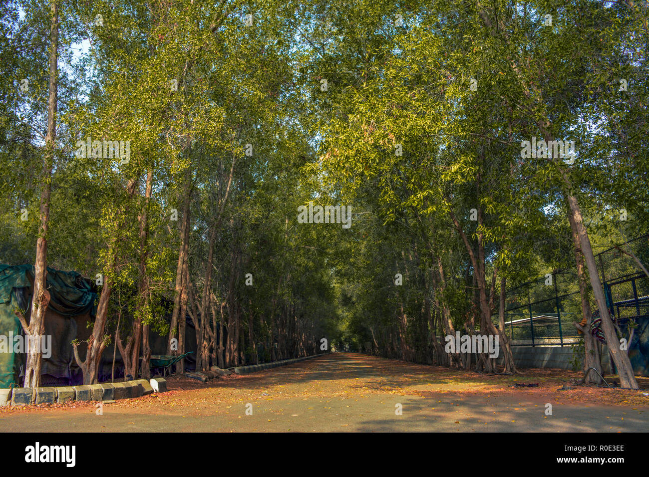 Spring path vector hi-res stock photography and images - Alamy