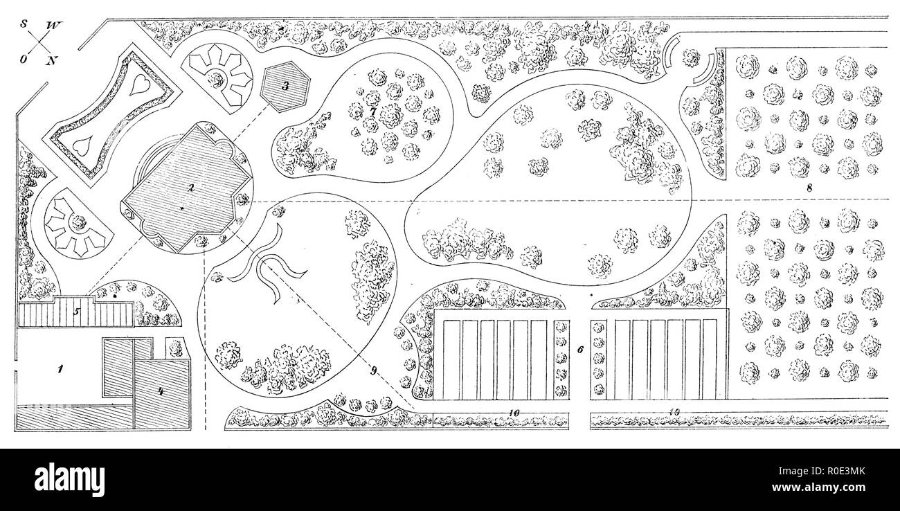 Plan of an orchard in a landscape style combined with extensive fruit ...