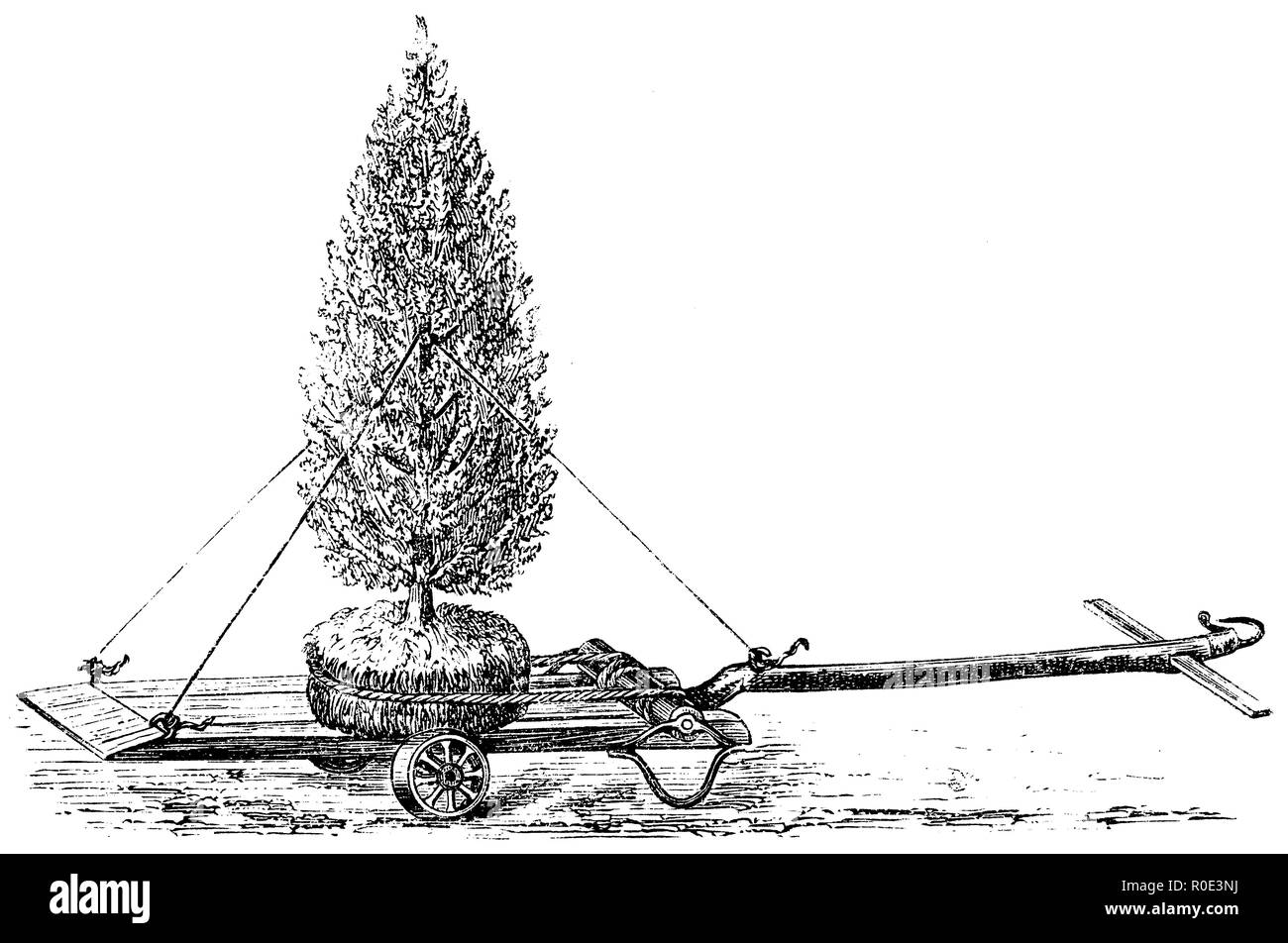 Two-wheeled trolley for transporting plants, 1877 Stock Photo - Alamy