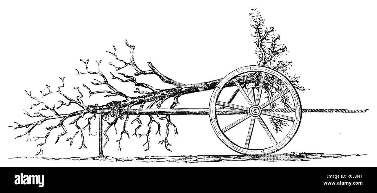 planting car, 1877 Stock Photo - Alamy