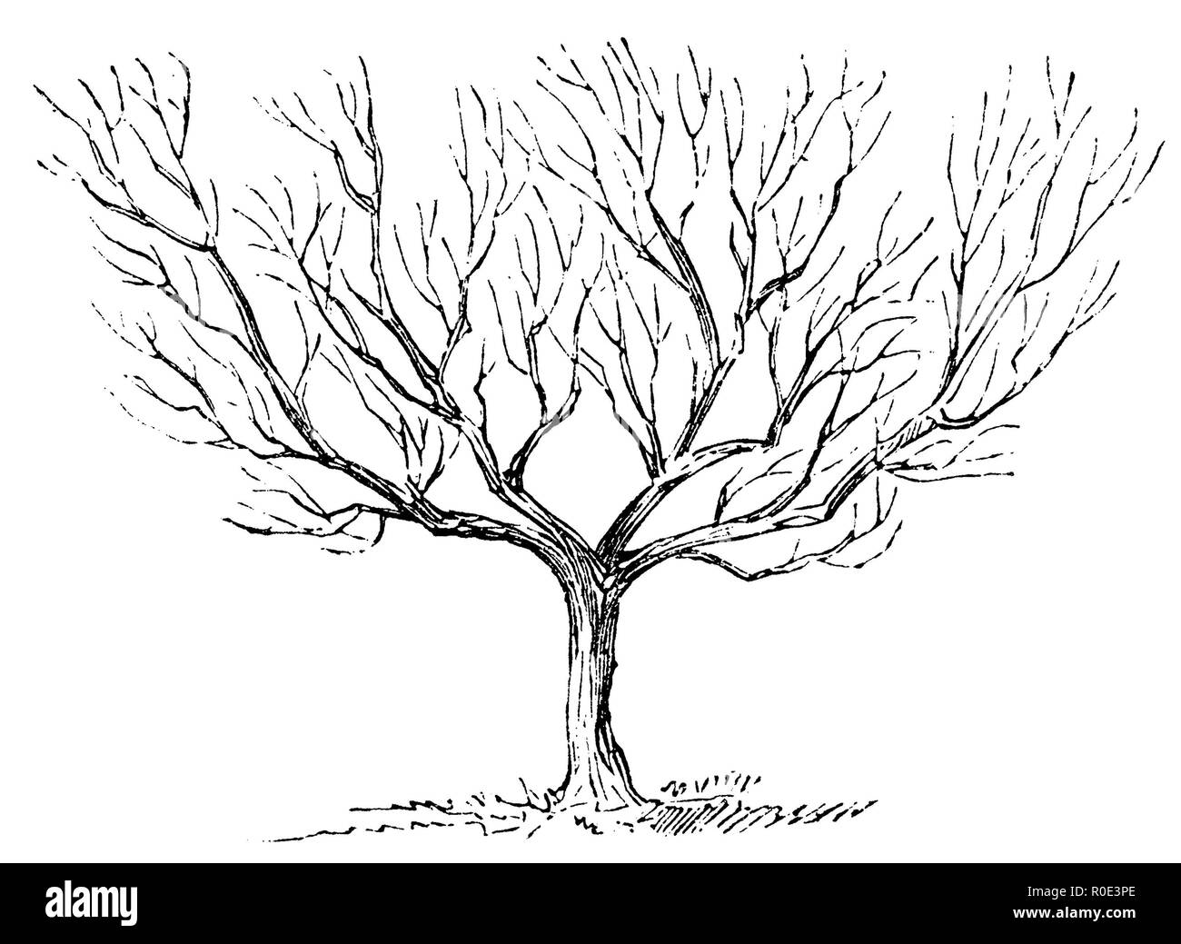 Garden garden dwarf Black and White Stock Photos & Images - Alamy