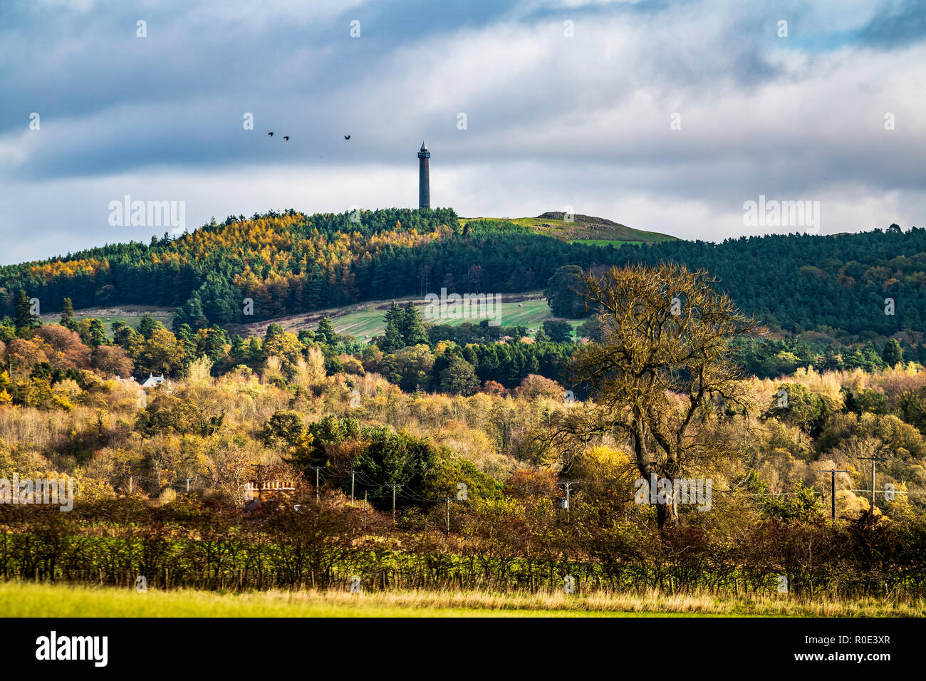 Waterloo Monument Uk Borders High Resolution Stock Photography and ...