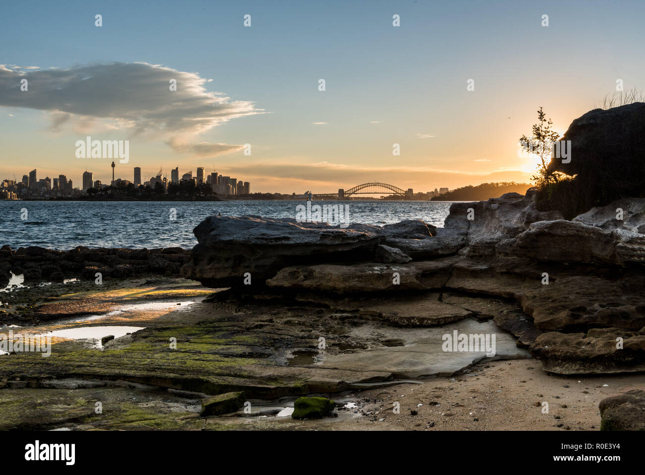 Milk Beach Sydney Australia photo by rhiannon hopley Stock Photo - Alamy