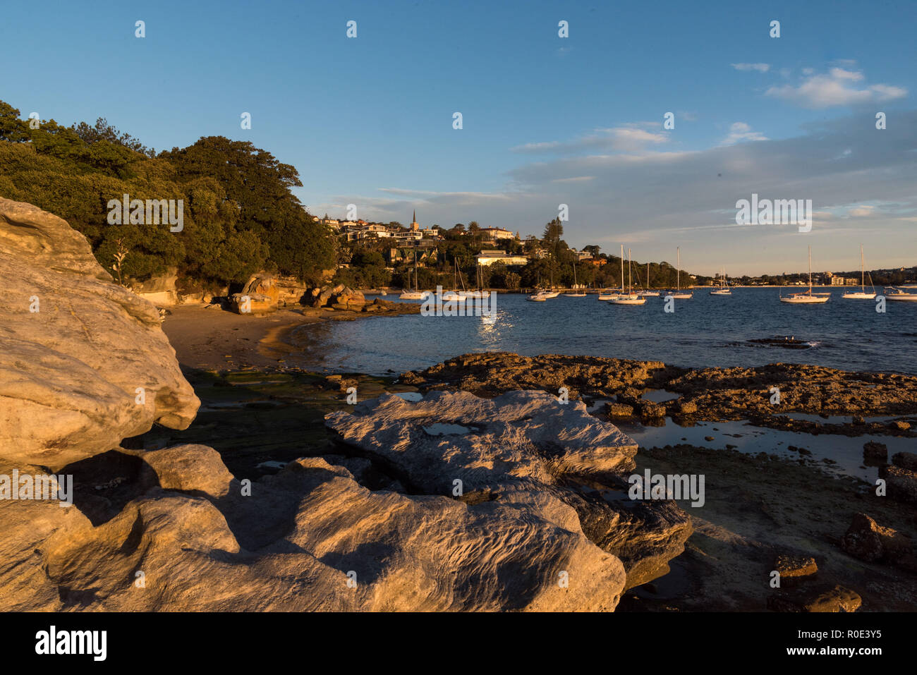 Milk Beach Sydney Australia photo by rhiannon hopley Stock Photo - Alamy