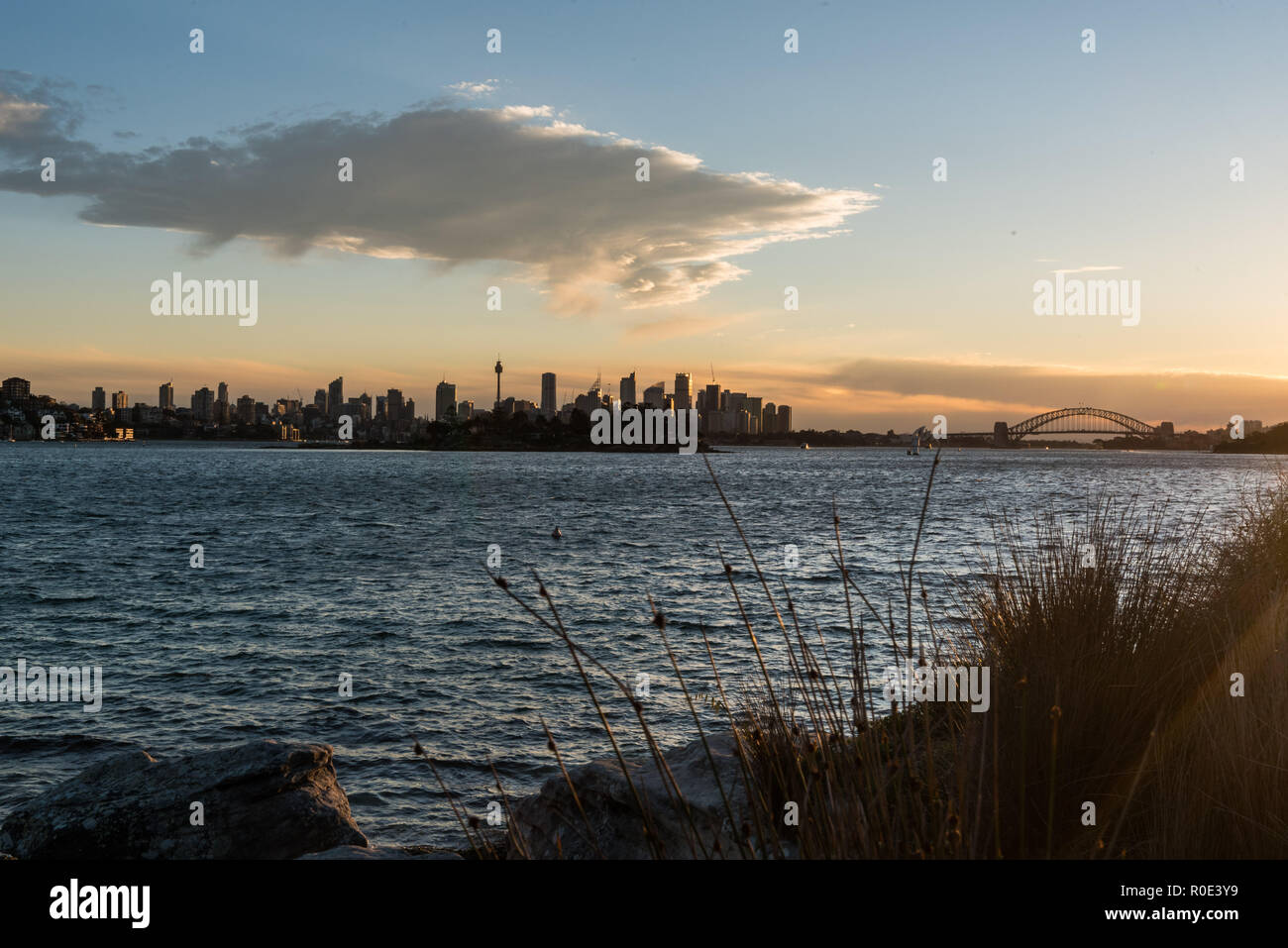 Milk Beach Sydney Australia photo by rhiannon hopley Stock Photo - Alamy