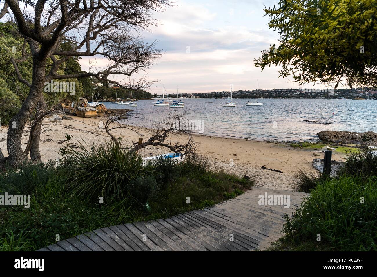 Milk Beach Sydney Australia photo by rhiannon hopley Stock Photo - Alamy