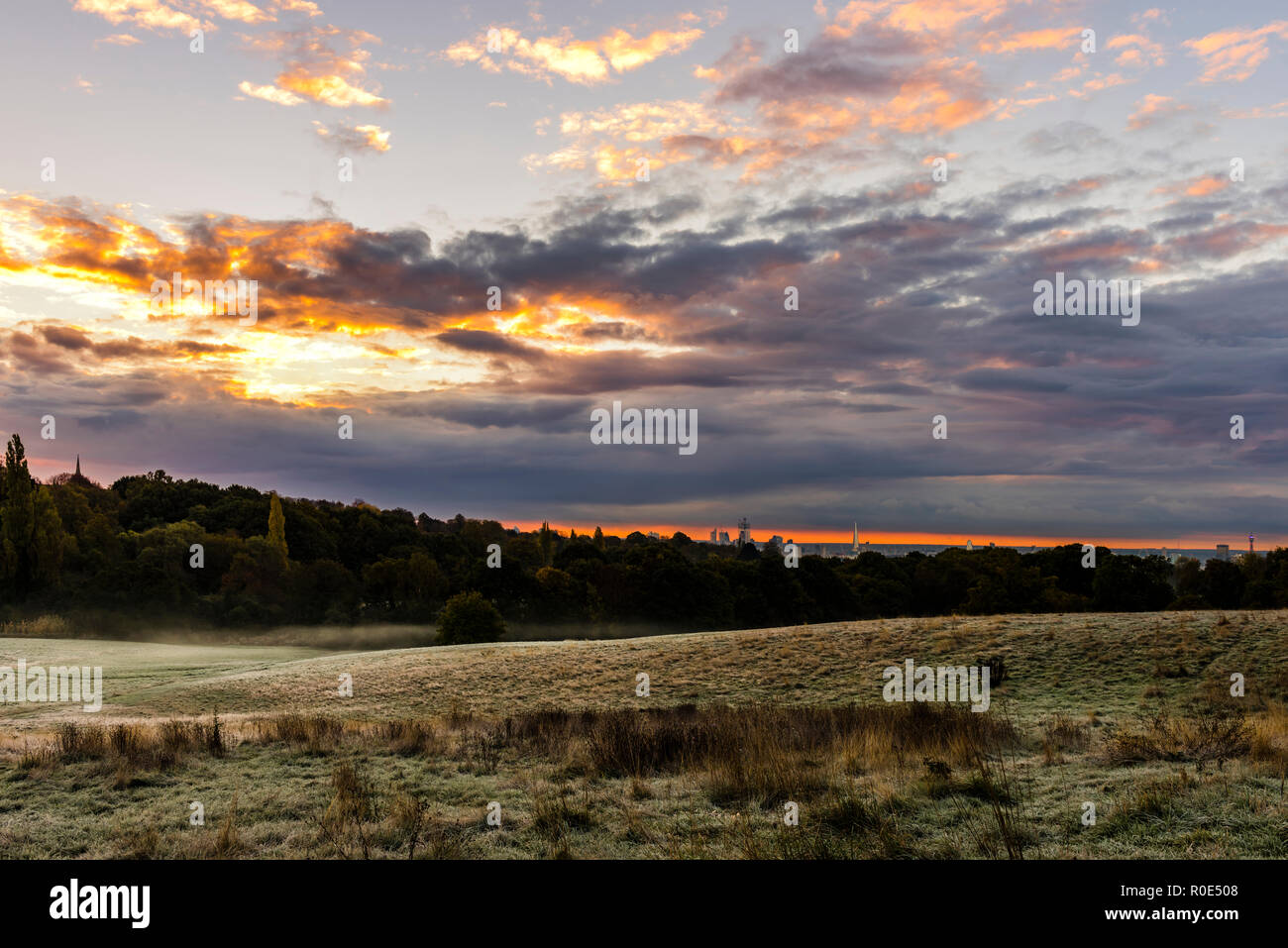 North London Nature High Resolution Stock Photography and Images - Alamy