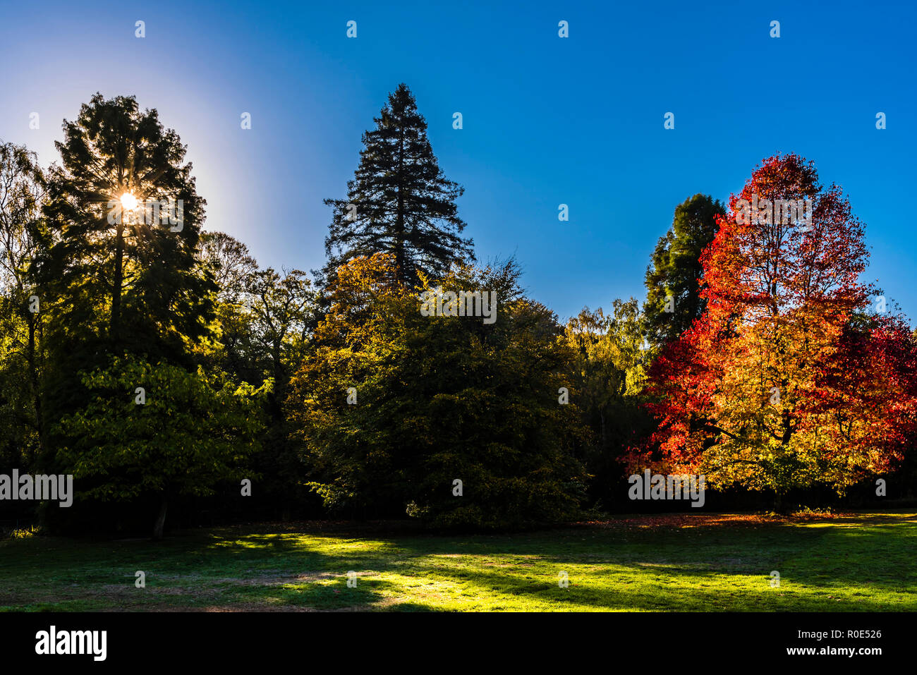 Sunshine on hampstead heath hi-res stock photography and images - Alamy