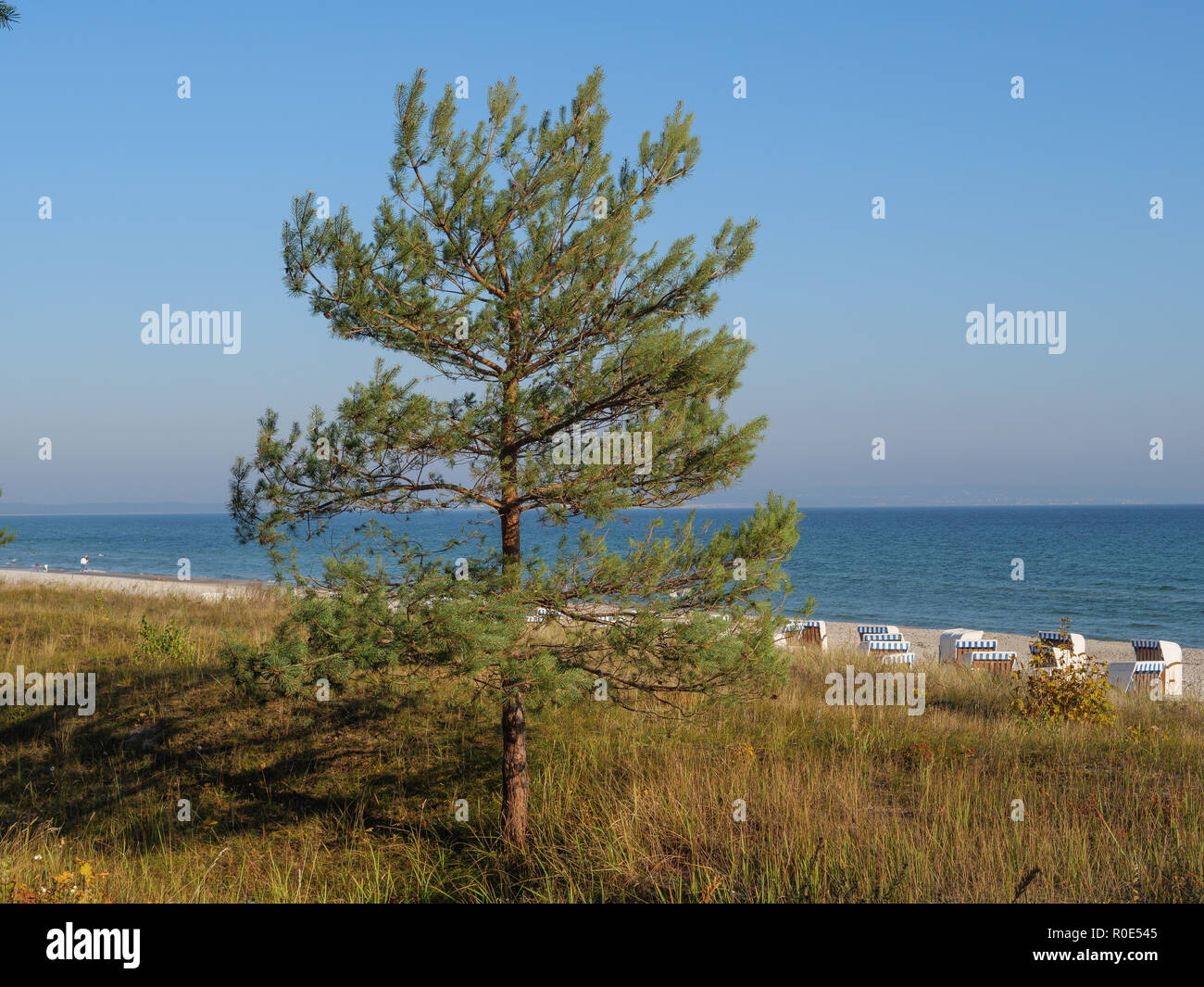 morning at the beach Stock Photo - Alamy