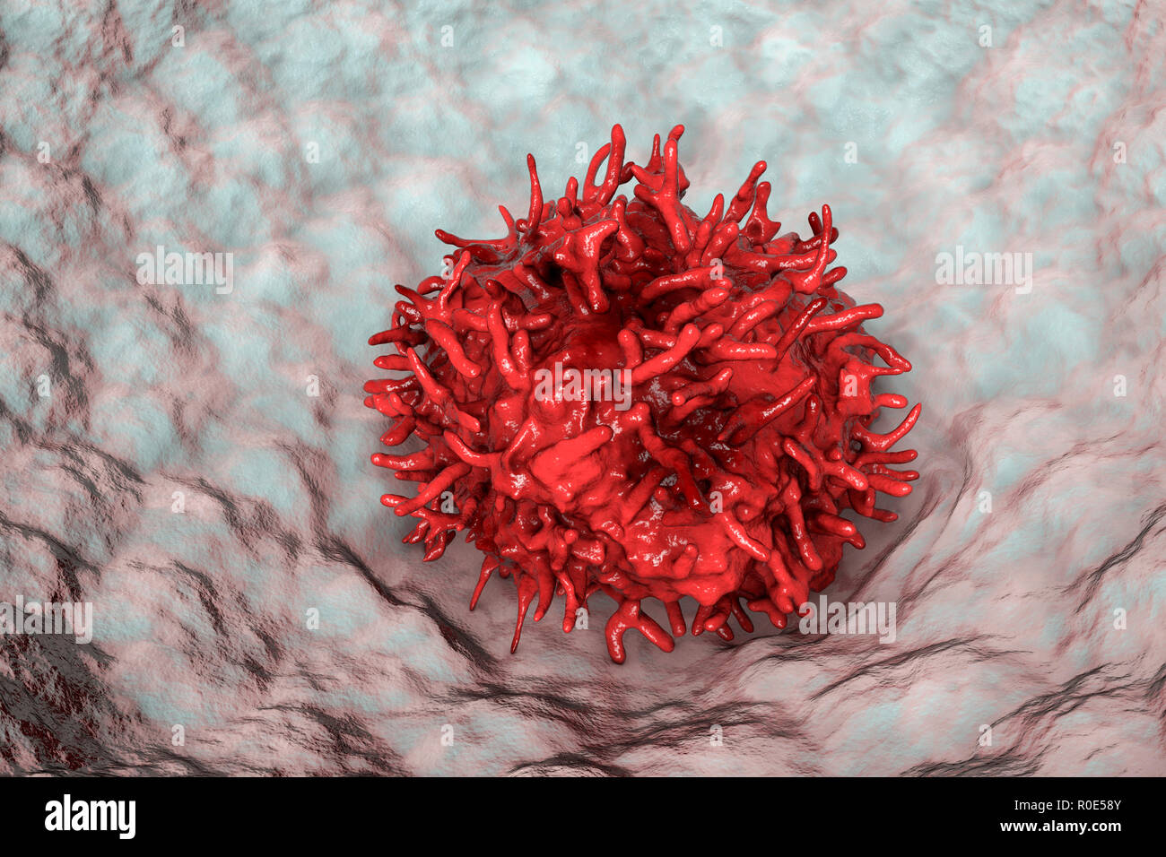 Alveolar tissue macrophage, computer illustration. A tissue macrophage ...