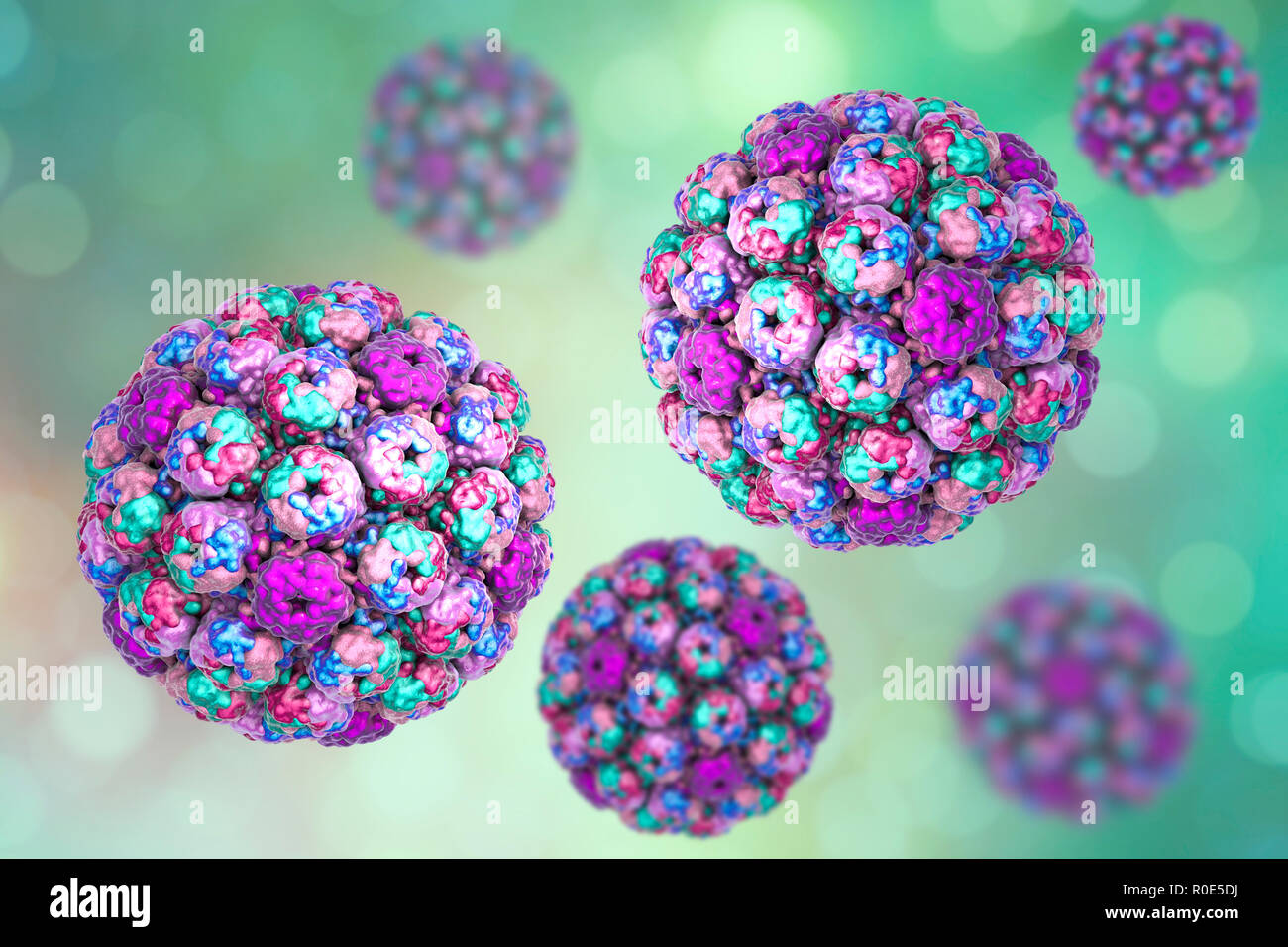 Polyomaviridae hi-res stock photography and images - Alamy