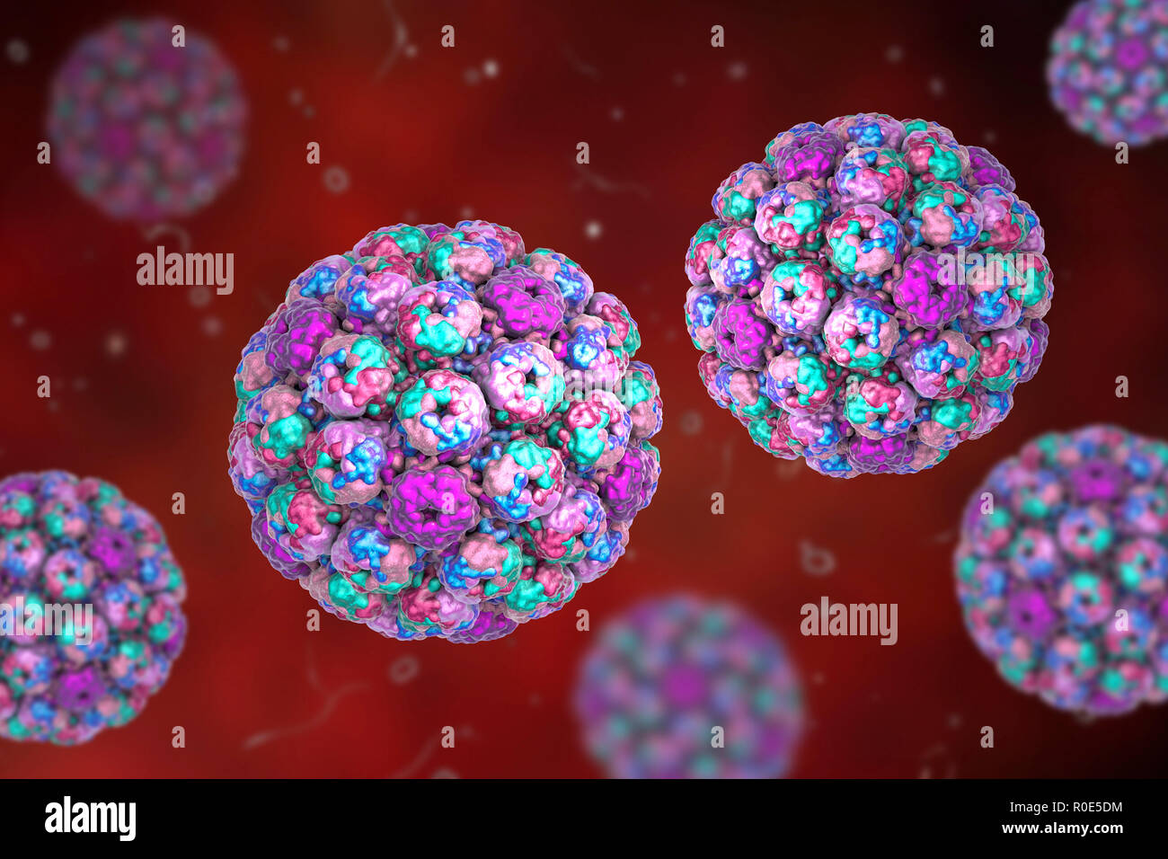 Polyomaviridae hi-res stock photography and images - Alamy